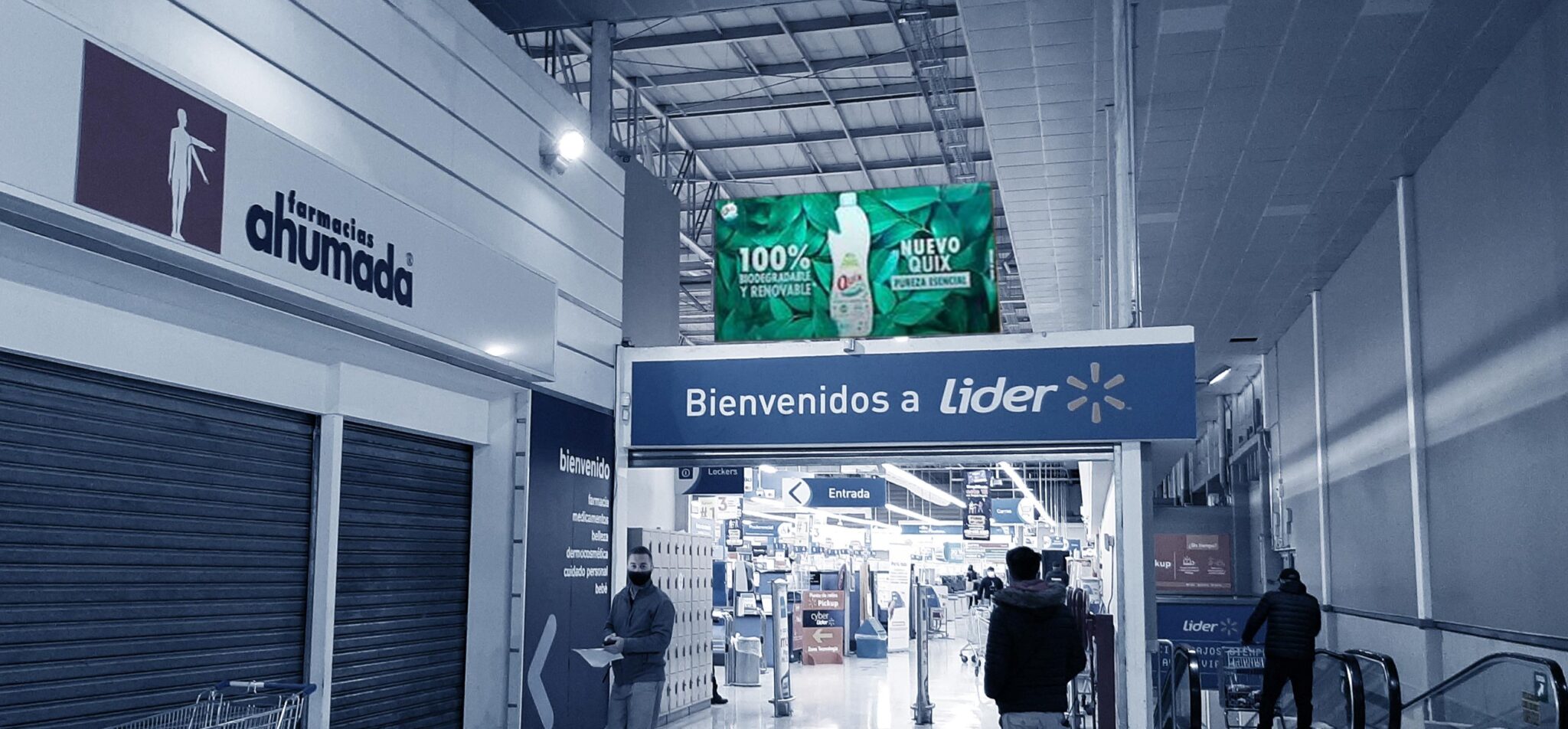 Catálogo – ecommerce Massiva